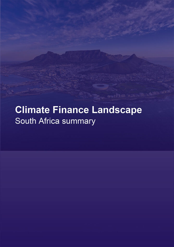 Climate Finance Landscape Summary Report - National Business Initiative