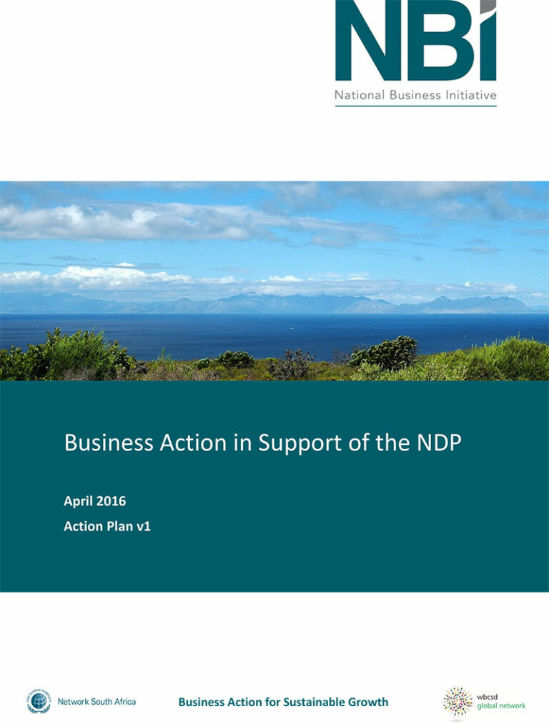 NDP Action Plan Final 2016 - National Business Initiative