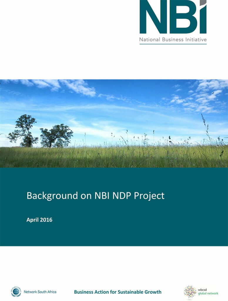 NDP Project Background - National Business Initiative
