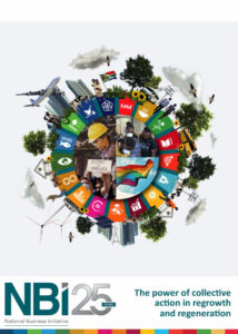 Integrated Annual Reports - National Business Initiative